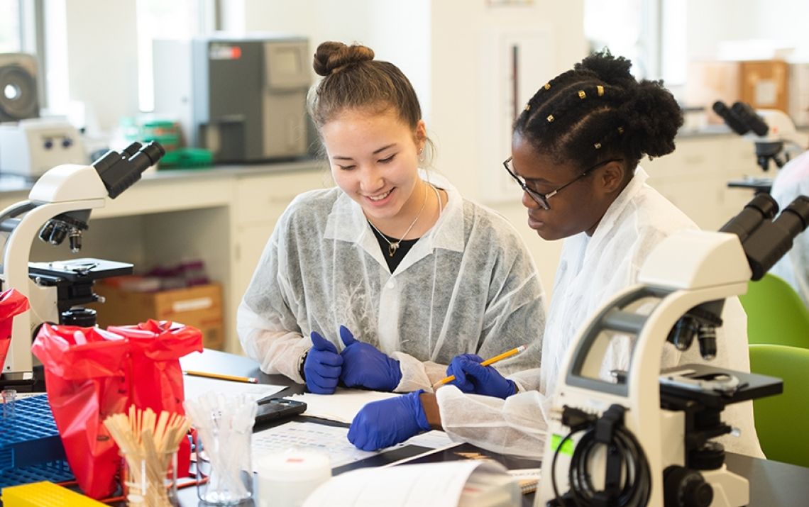 Summer Immersion Program | The Department of Biomedical Laboratory ...