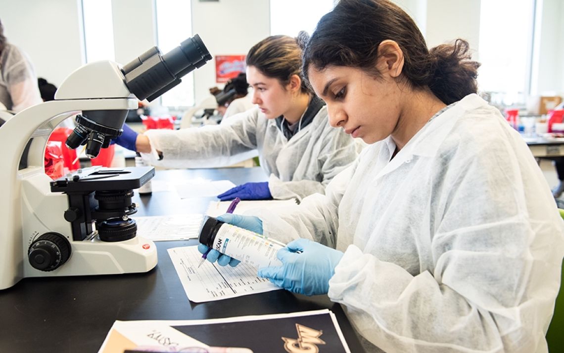 Summer Immersion Program | The Department of Biomedical Laboratory ... Summer Immersion Program | The Department of Biomedical Laboratory ...